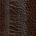 Chocolate Croc – Painted Paper