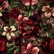 Linus Wallpaper – Painted Paper