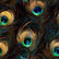 Nala Wallpaper – Painted Paper